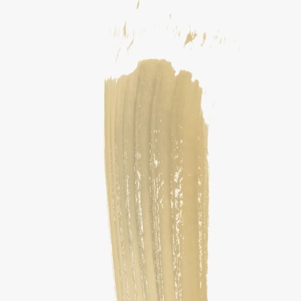 Zenzero – AvynaBeauty